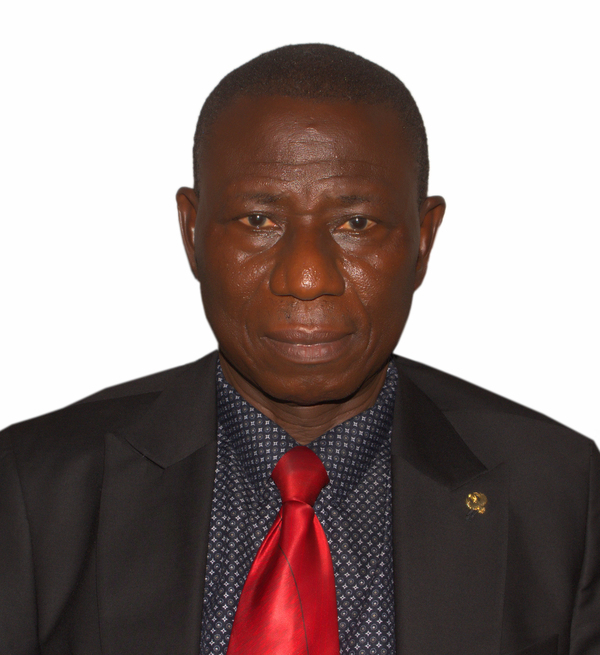 Nigeria Mining Cadastre Office | Director General